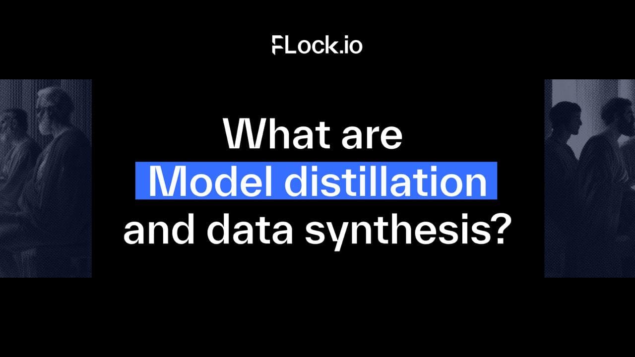 What Are Model Distillation And Data Synthesis